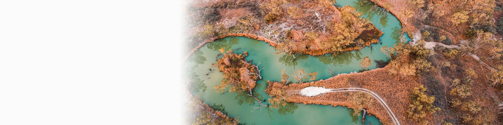 Assetlink - Integrated Facilities Services - Assetlink Website